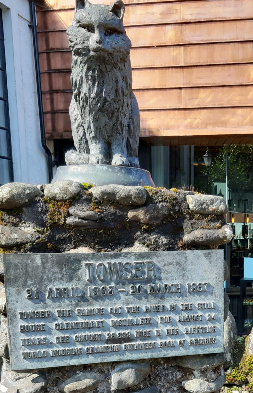 #28 Visiting Glenturret – Dramming around